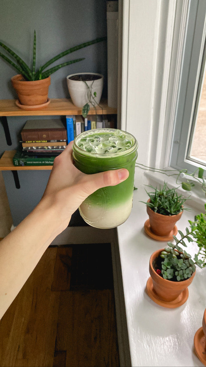 The Best Iced Matcha Latte You’ll Ever Have – Wildly Botanical