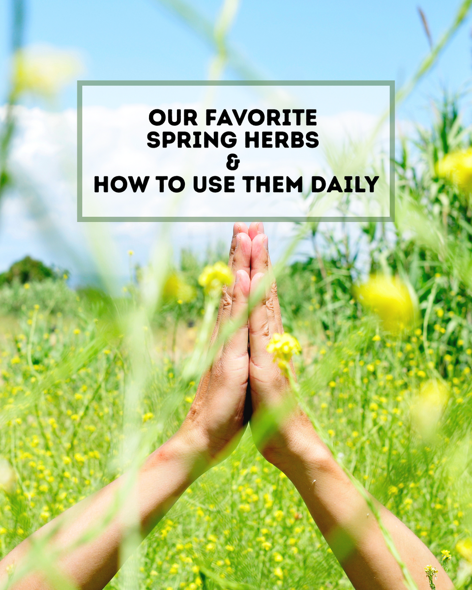 Our Favorite Spring Herbs & How to Use Them Daily – Wildly Botanical