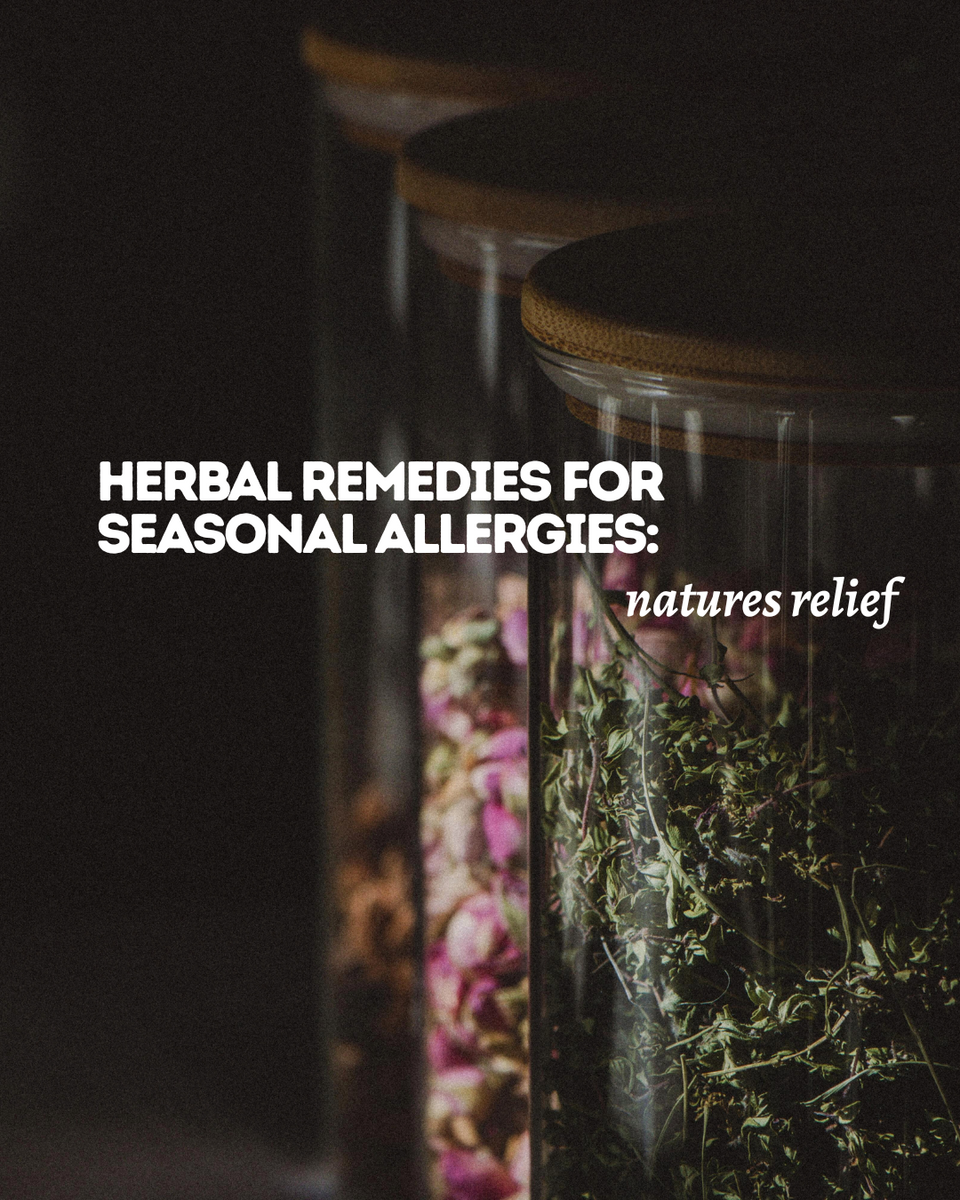 Herbal Remedies for Seasonal Allergies: Nature’s Relief – Wildly Botanical