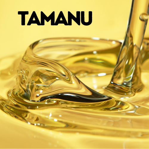 Unlocking Nature's Secret: Why Tamanu Oil Deserves a Spot in Your Skin ...